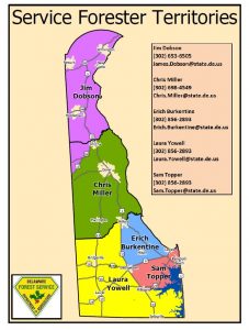 Forest Service - Delaware Department of Agriculture - State of Delaware