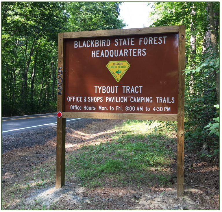 Delaware State Forests - Delaware Department of Agriculture - State of ...