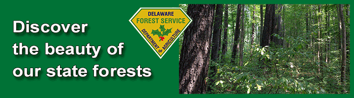 Delaware State Forests - Delaware Department of Agriculture - State of ...