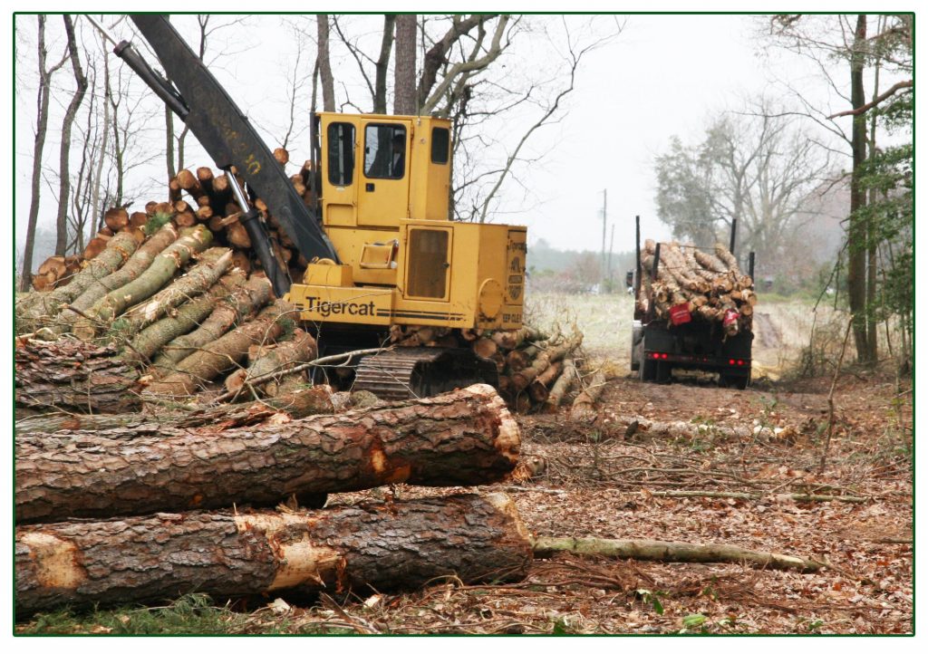 Conservation Programs - Delaware Department of Agriculture - State of ...
