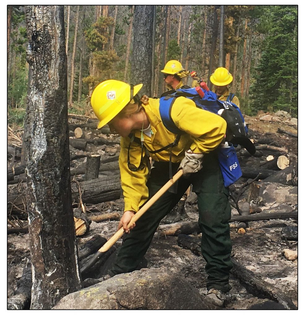 Delaware Wildland Fire Crew - Delaware Department of Agriculture ...
