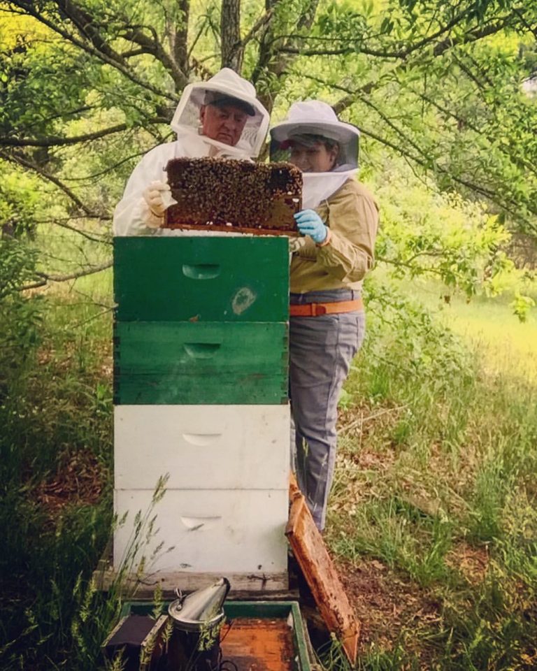 Honeybees - Delaware Department of Agriculture - State of Delaware