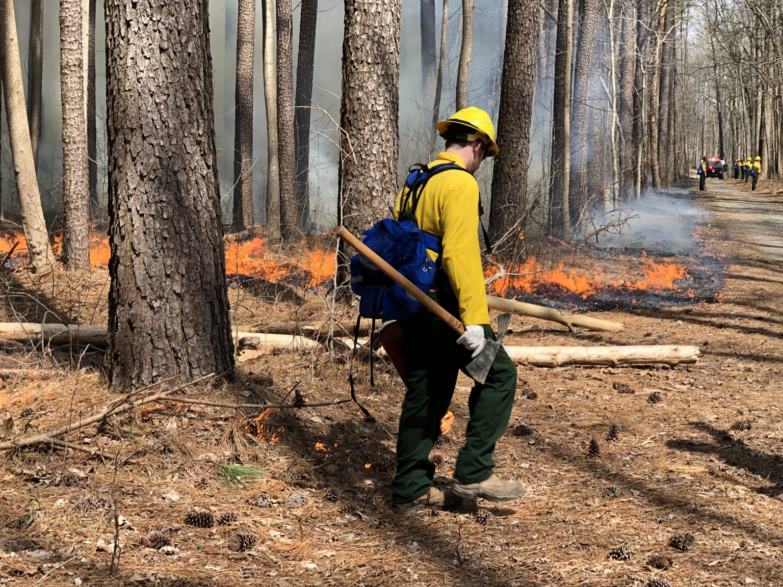 Delaware Wildland Fire Crew - Delaware Department of Agriculture ...