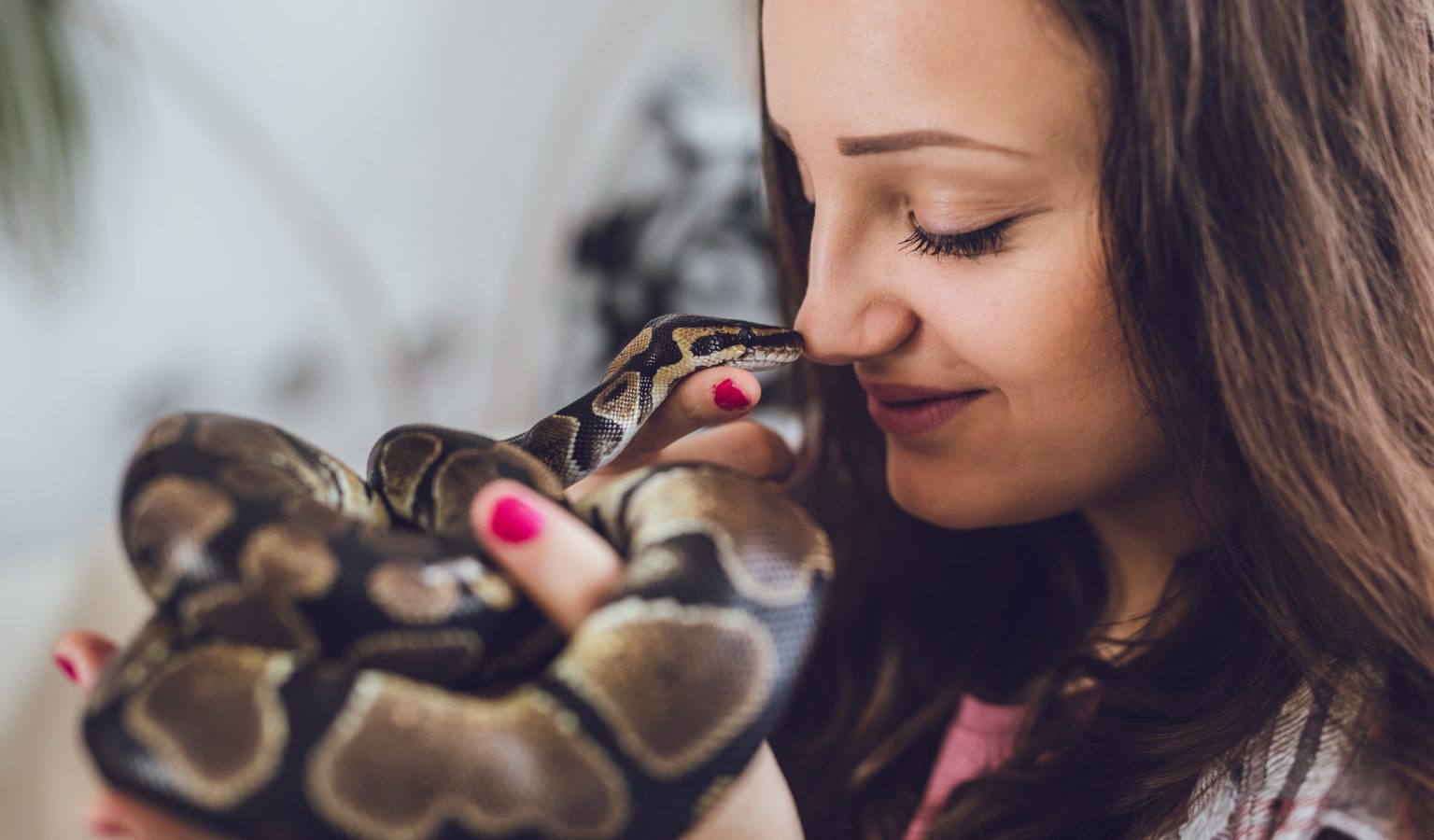 Exotic Animals - Delaware Department of Agriculture - State of Delaware