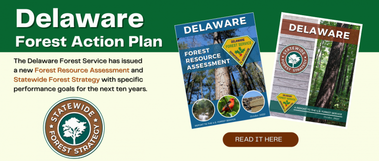 Forest Service - Delaware Department of Agriculture - State of Delaware
