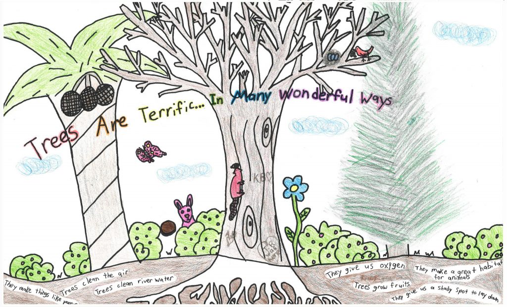 2021 Poster Contest – Delaware Trees