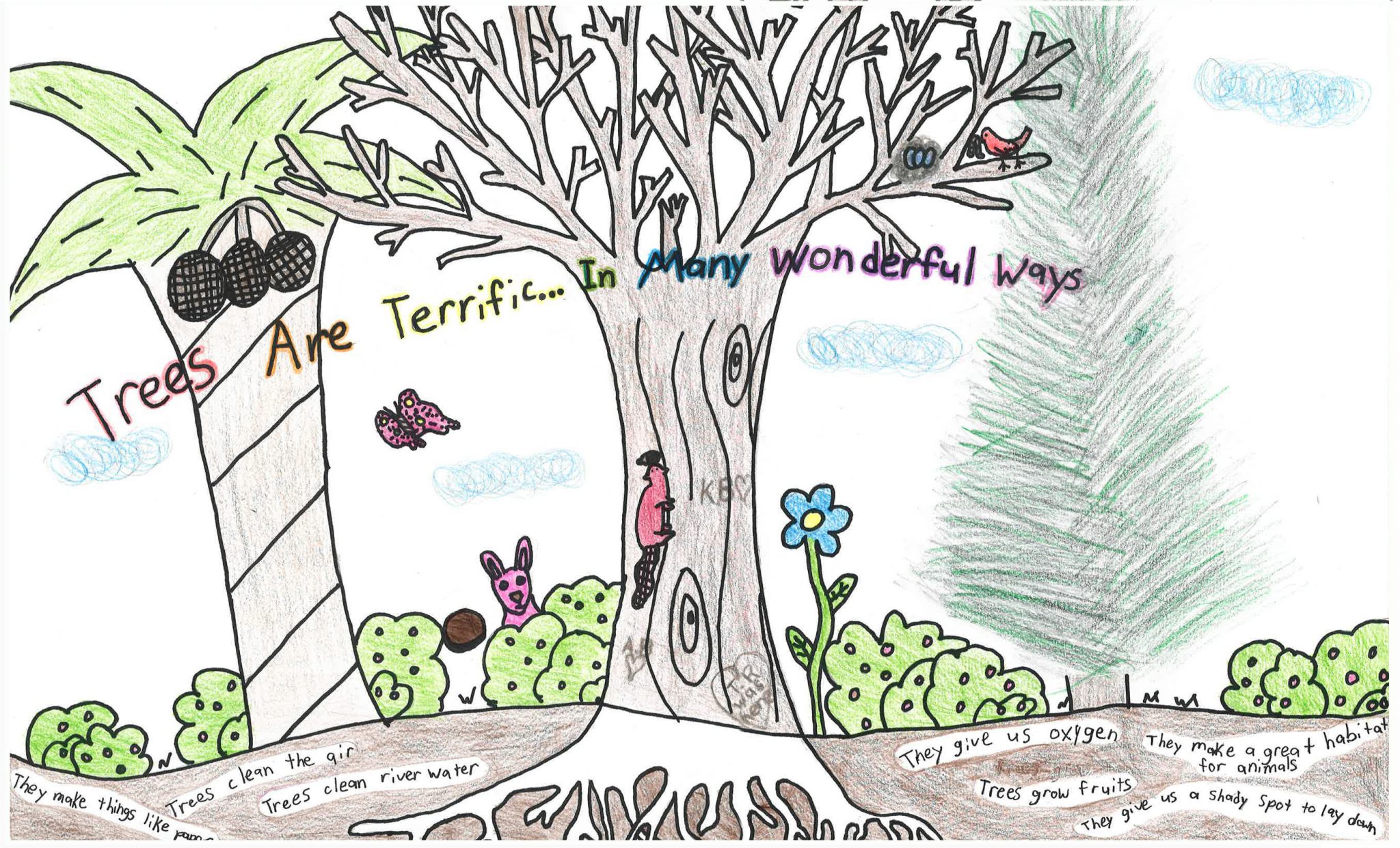 2021 Poster Contest – Delaware Trees