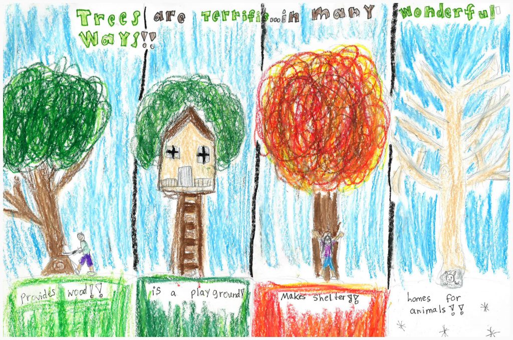 2021 Poster Contest – Delaware Trees