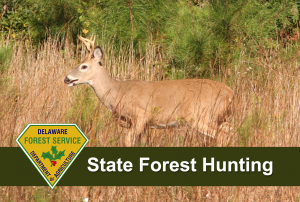 State Forest Hunting - Delaware Department of Agriculture - State of ...