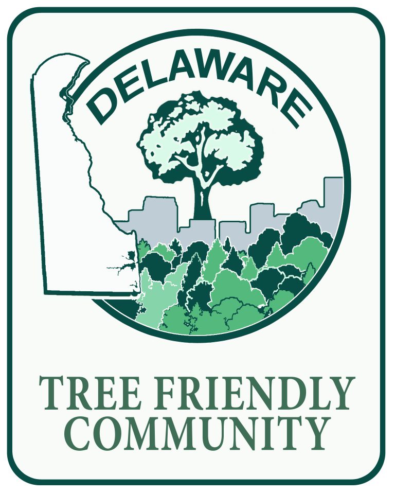 Tree Recognition Programs - Delaware Department of Agriculture - State ...