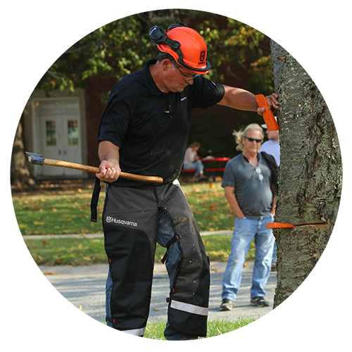 Urban and Community Forestry - Delaware Department of Agriculture ...