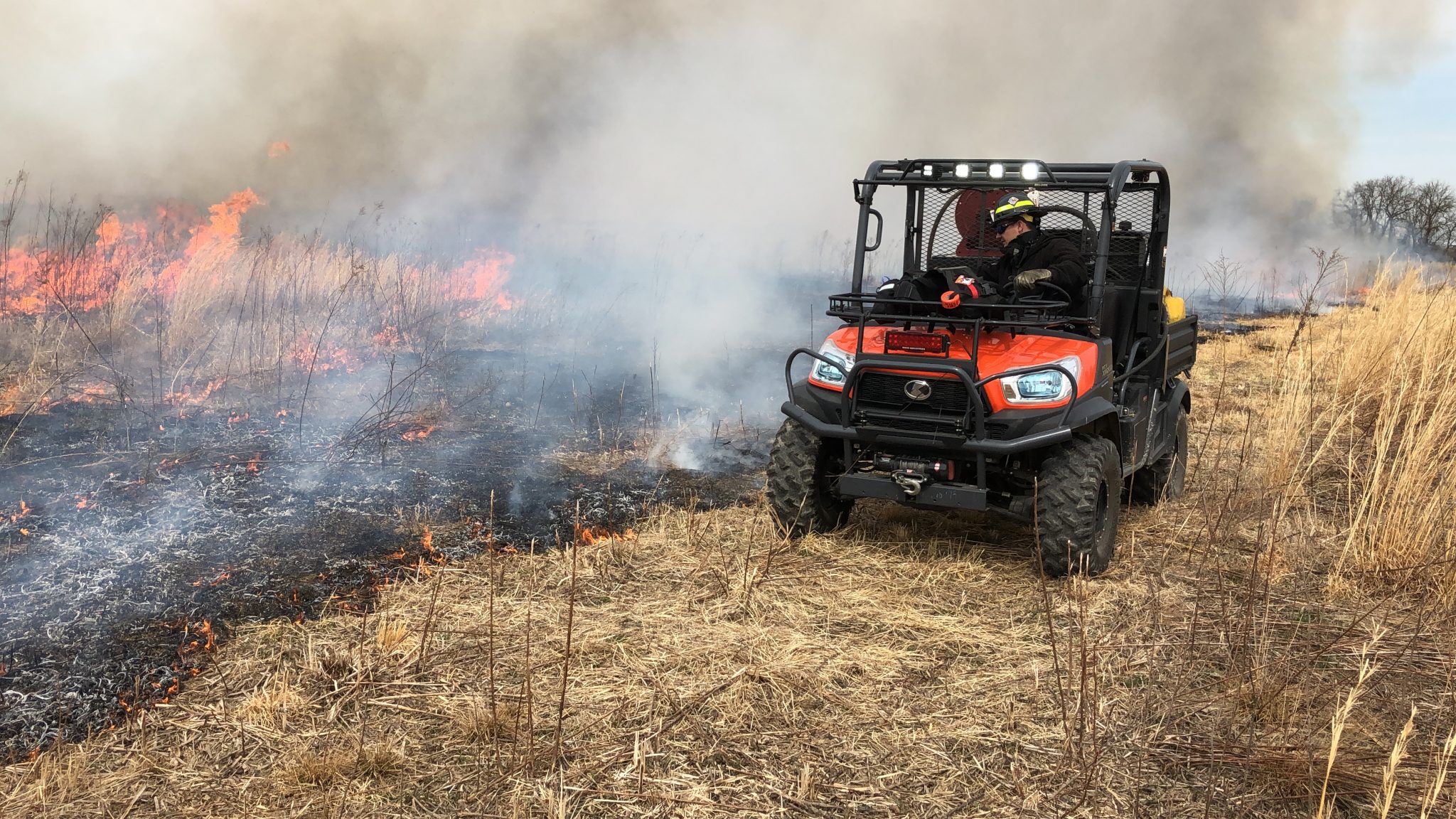 U.S. 301 Rx Burn for Pollinator Site - Delaware Department of ...