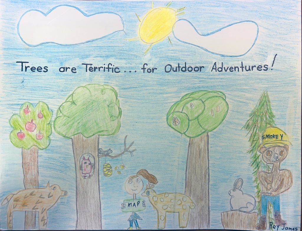 Arbor Day Poster Contest - Delaware Department of Agriculture - State ...
