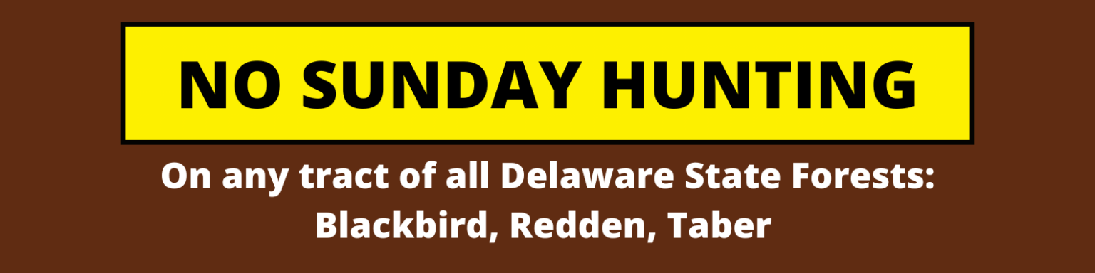 State Forest Hunting - Delaware Department of Agriculture - State of ...